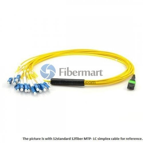 MPO Trunk Cables: The Ultimate Guide to High-Density Fiber Connectivity ...